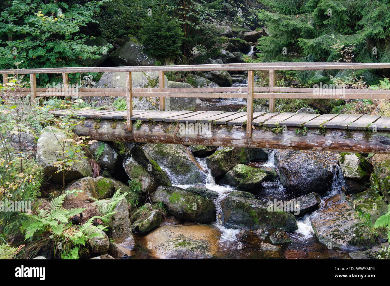 Autumn in the Harz National Park at Gasthaus Steinerne Renne Stock ...
