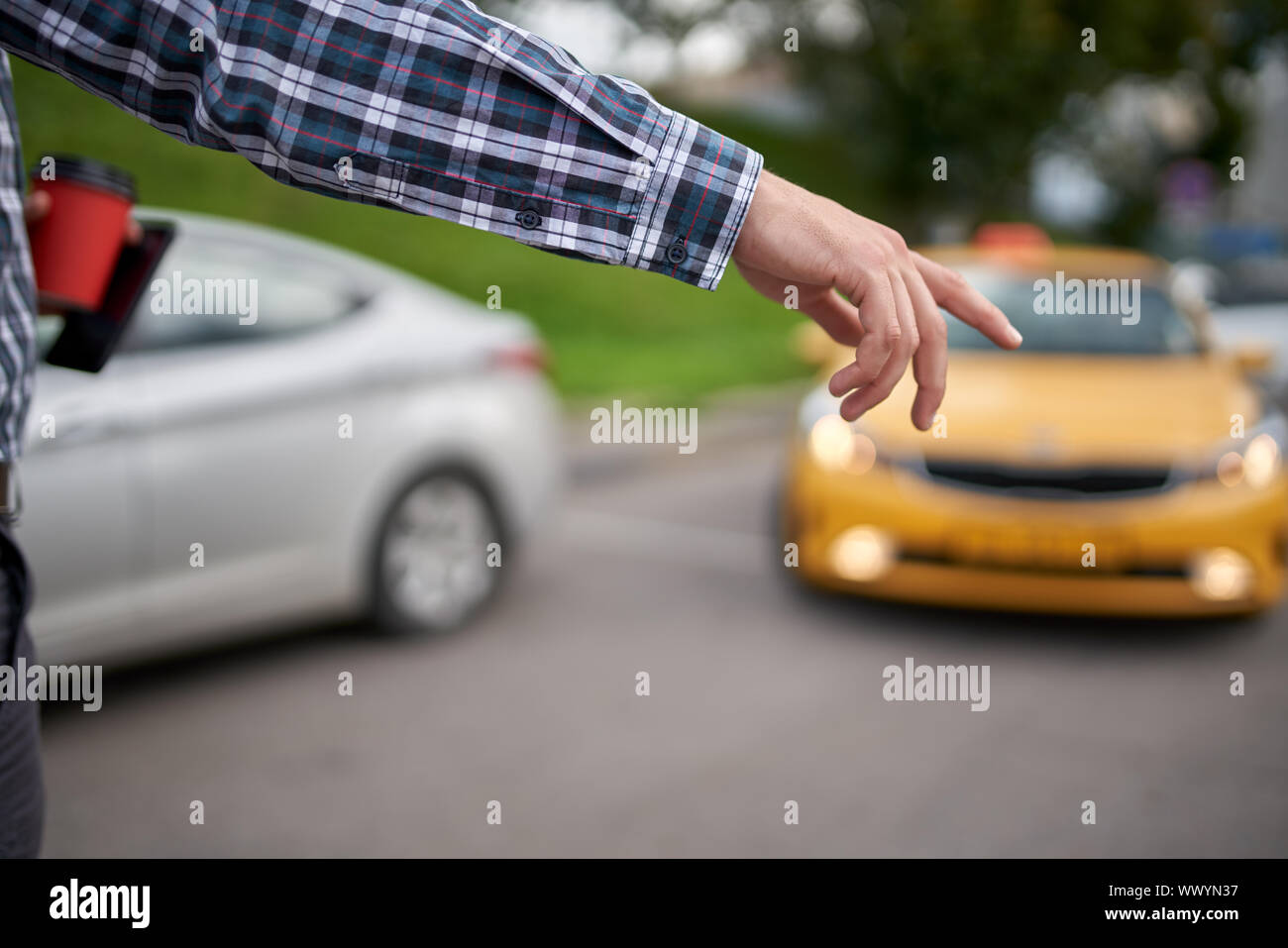 Guy Stops Car
