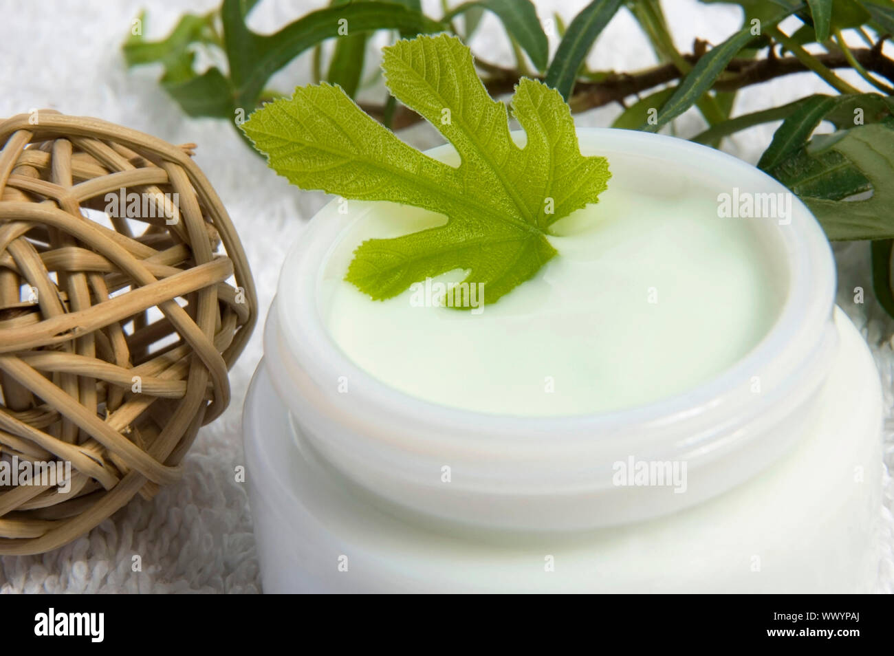 Fig beauty hi-res stock photography and images - Alamy