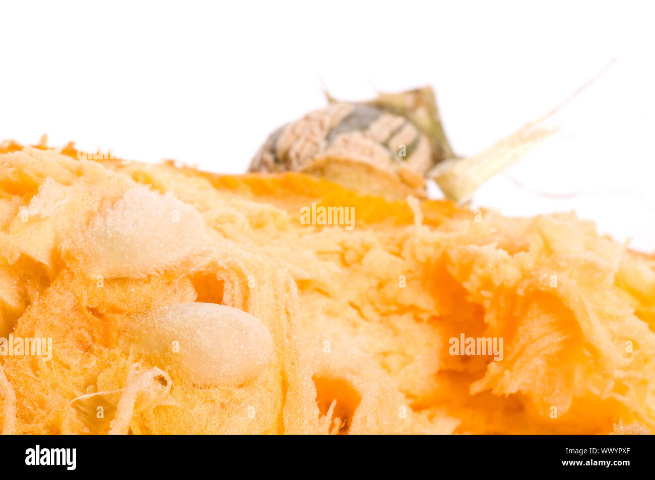 Fresh pumpkin cut open hi-res stock photography and images - Alamy