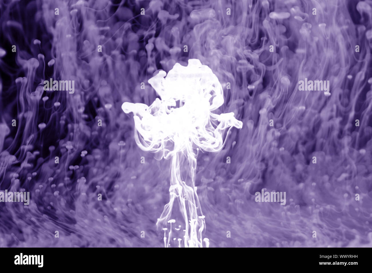 ink in water abstract flow background Stock Photo - Alamy