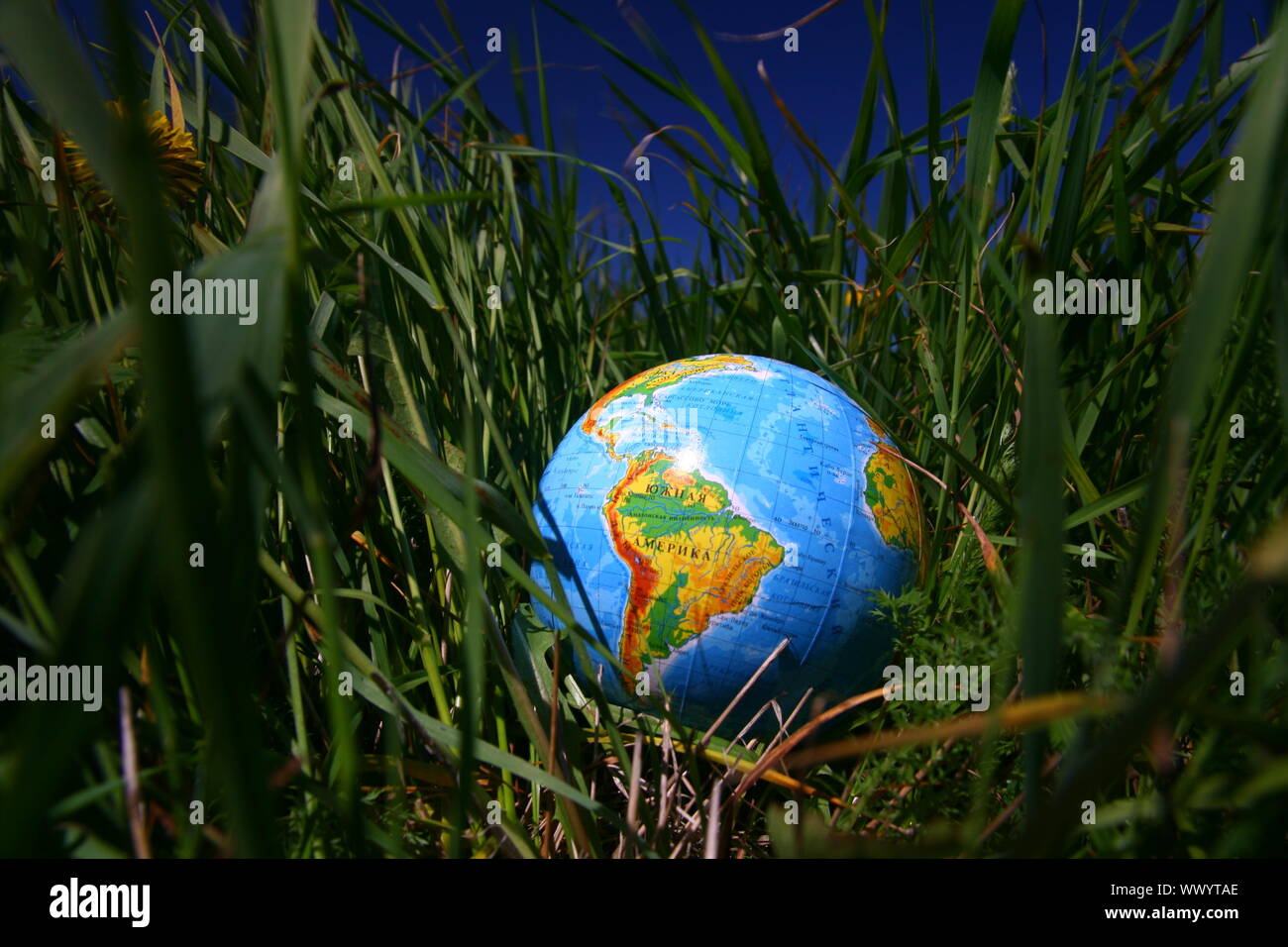 globe of planet earth in green grass Stock Photo - Alamy