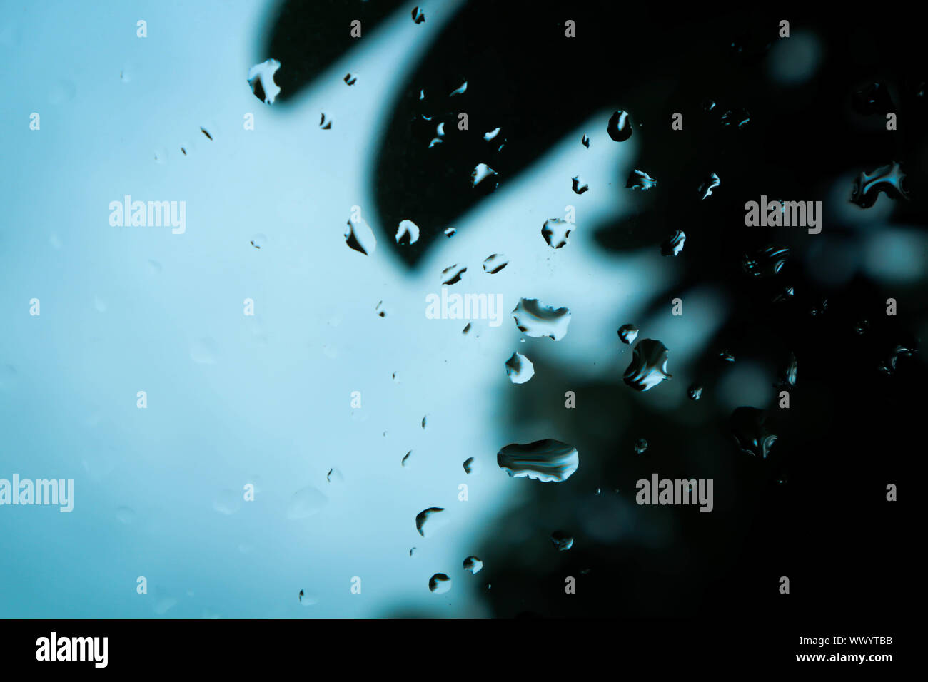 rain drop, rain drops on the car glass, rain drop on Windshield Stock ...