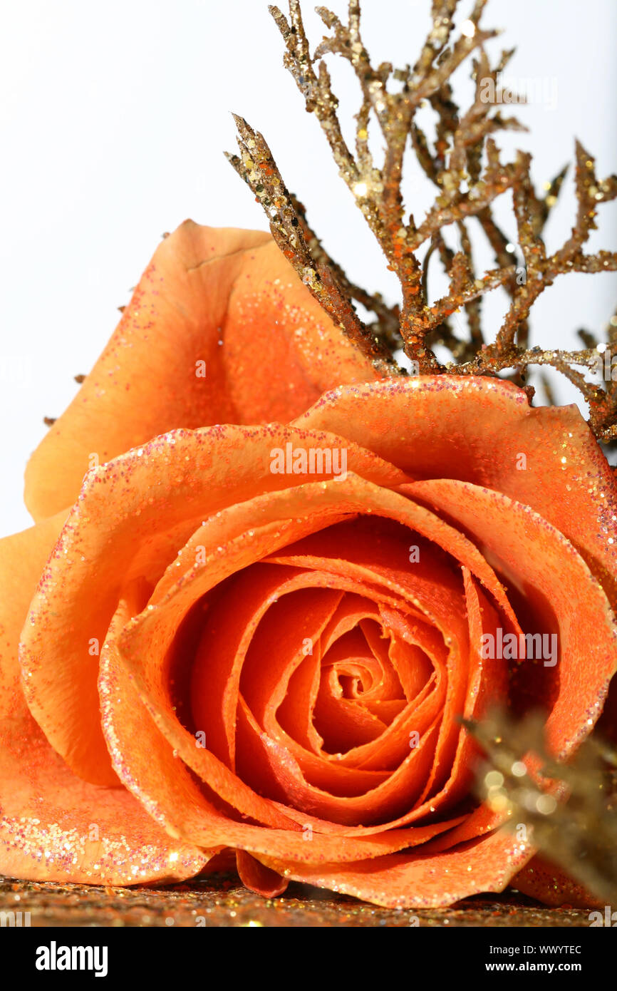 Rose gold decoration hi-res stock photography and images - Alamy