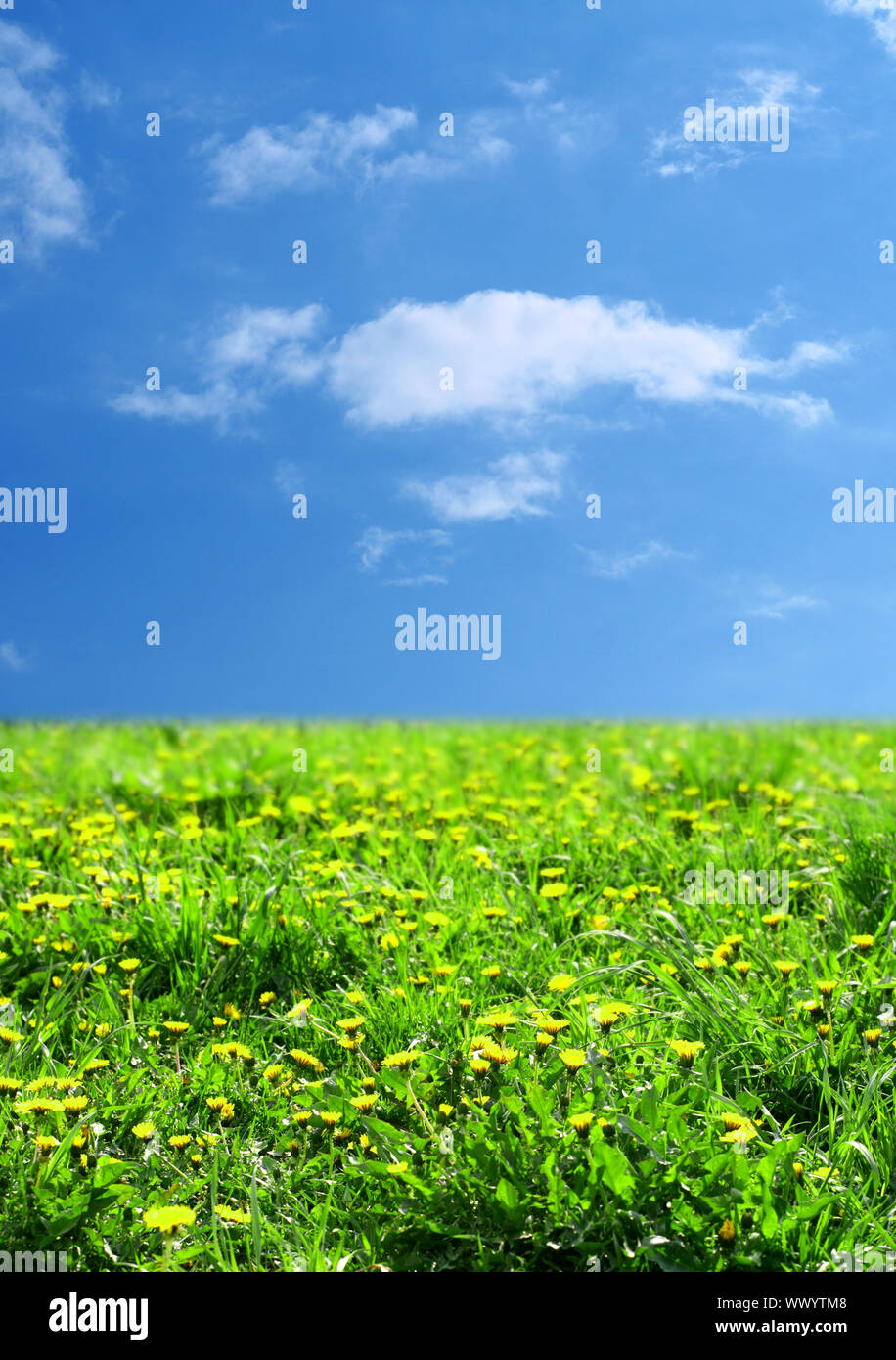 green grass landscape nature background Stock Photo - Alamy