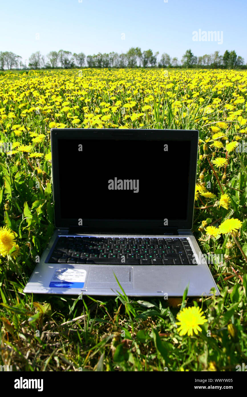 creative business laptop nature work Stock Photo - Alamy