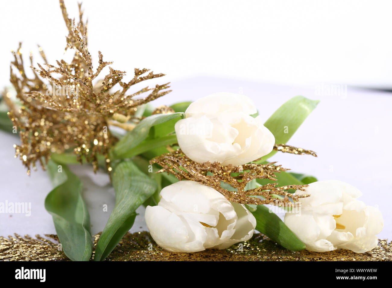 Gold tulip hi-res stock photography and images - Alamy