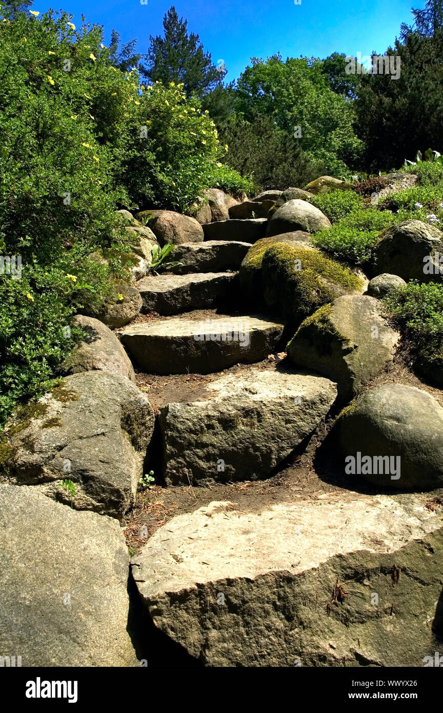summer path. stone stairs. park, arboretum, forest Stock Photo - Alamy