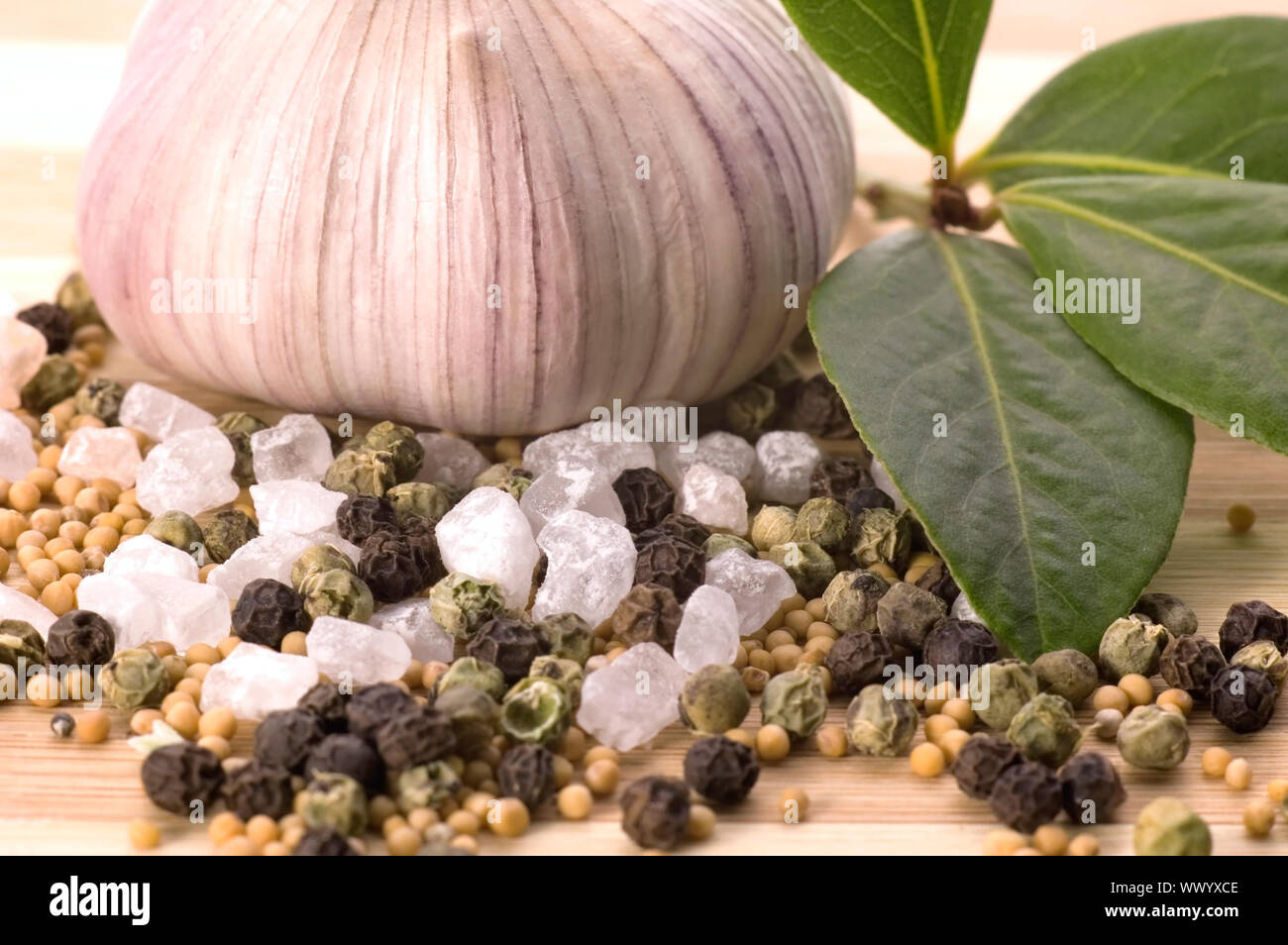 Allspice tree hi-res stock photography and images - Alamy