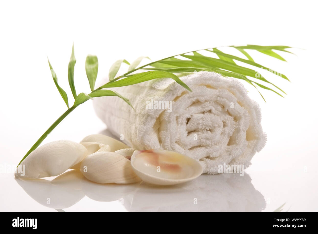 summer bath scene. towel, shell, leaf isolated on the white background ...