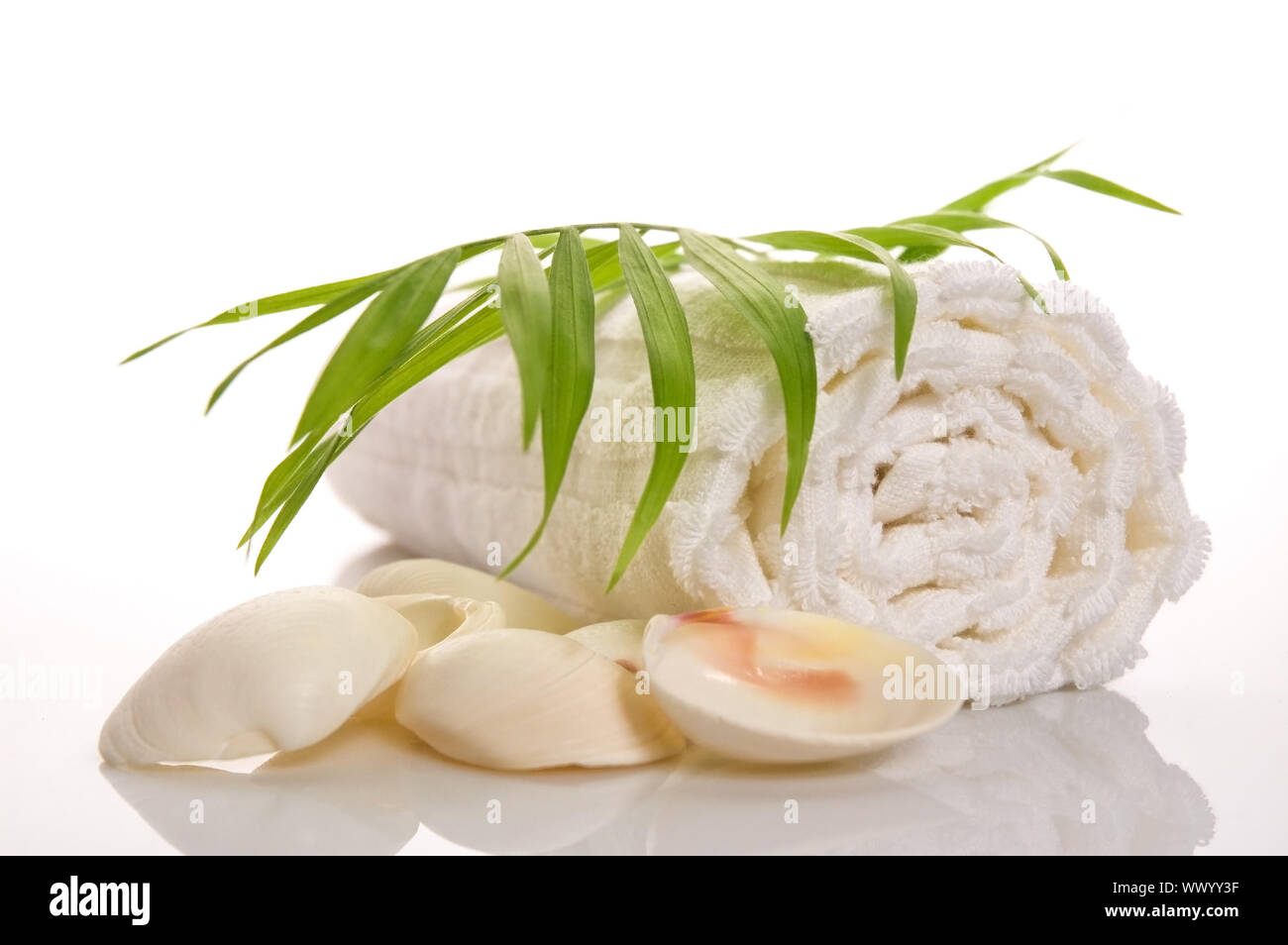 summer bath scene. towel, shell, leaf isolated on the white background ...