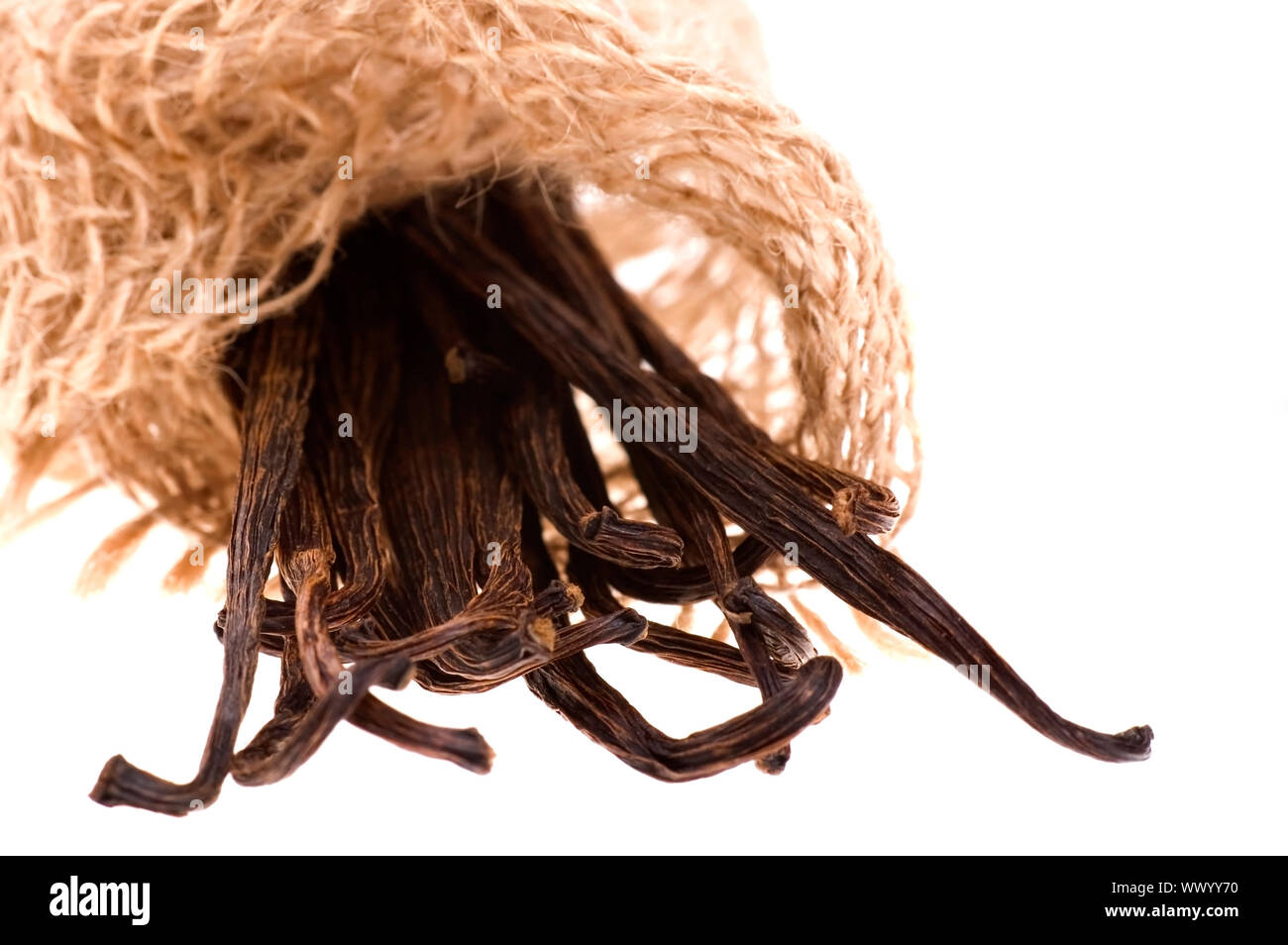 vanilla beans isolated on the white background Stock Photo - Alamy