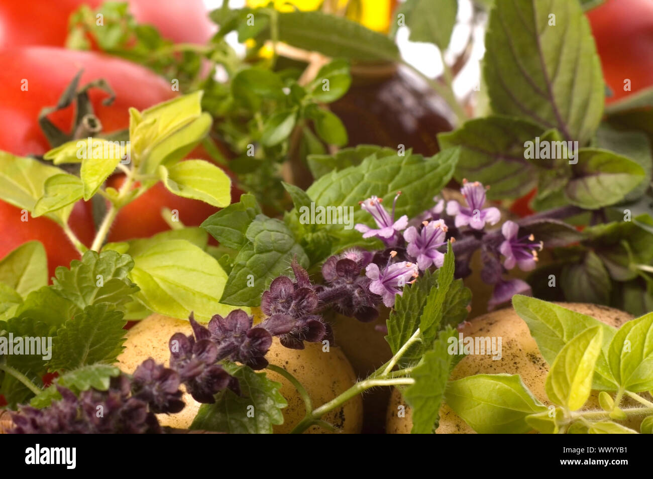 cut fresh herbs and vegatables Stock Photo - Alamy