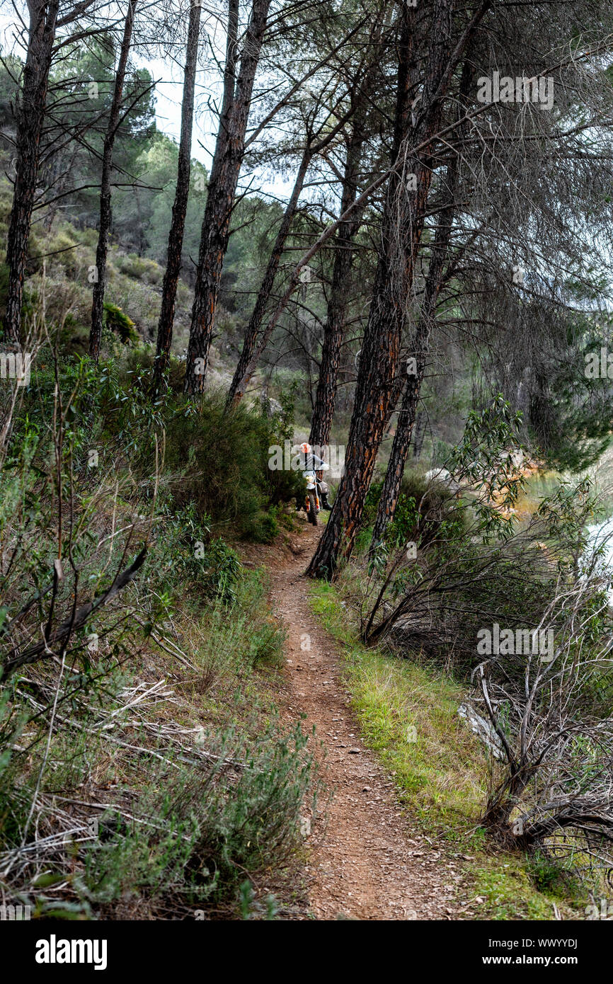 Pine road driver riding bike hi-res stock photography and images - Alamy