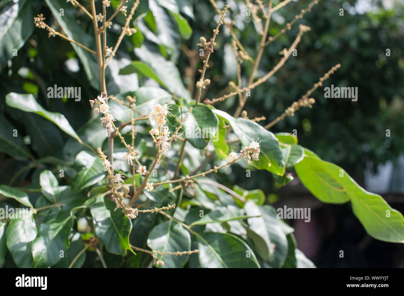 Relf hi-res stock photography and images - Alamy