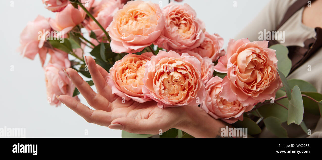 in girl hands bouquet with pink ranunculus isolated on white background ...