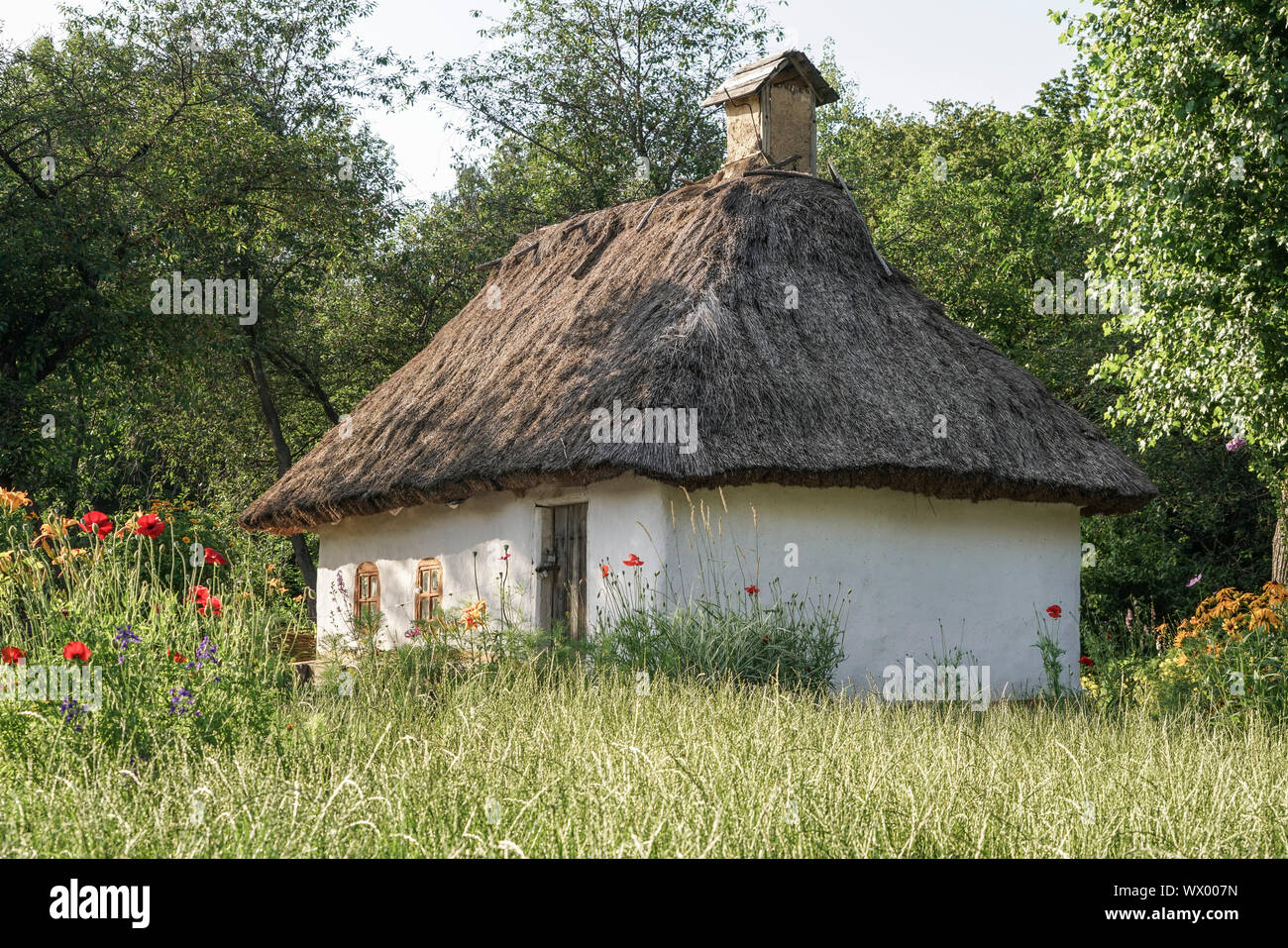 Traditional village house in nature during spring in Ukraine Stock ...