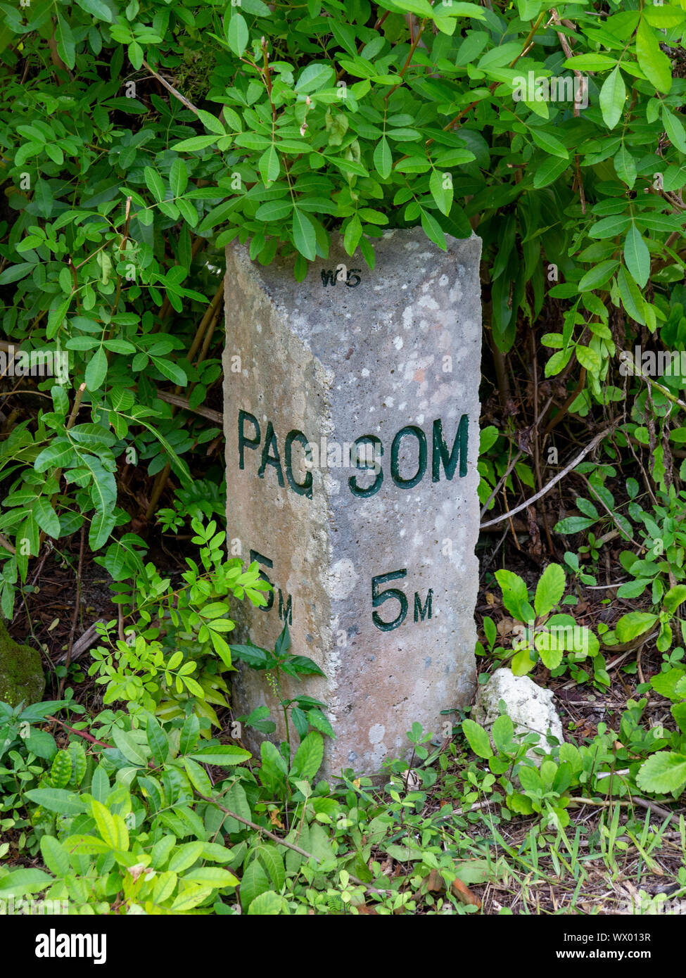 A stone distance marker on the Bermuda Railway Trail surrounded by ...