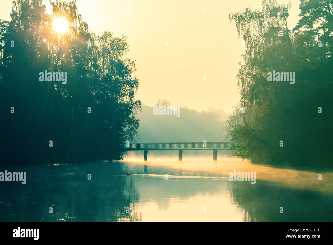 Photo of river, bridge, trees at sunrise Stock Photo - Alamy