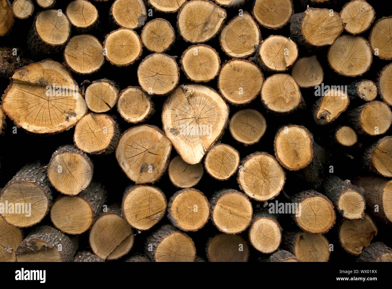 stacked timber logs ready for processing Stock Photo - Alamy