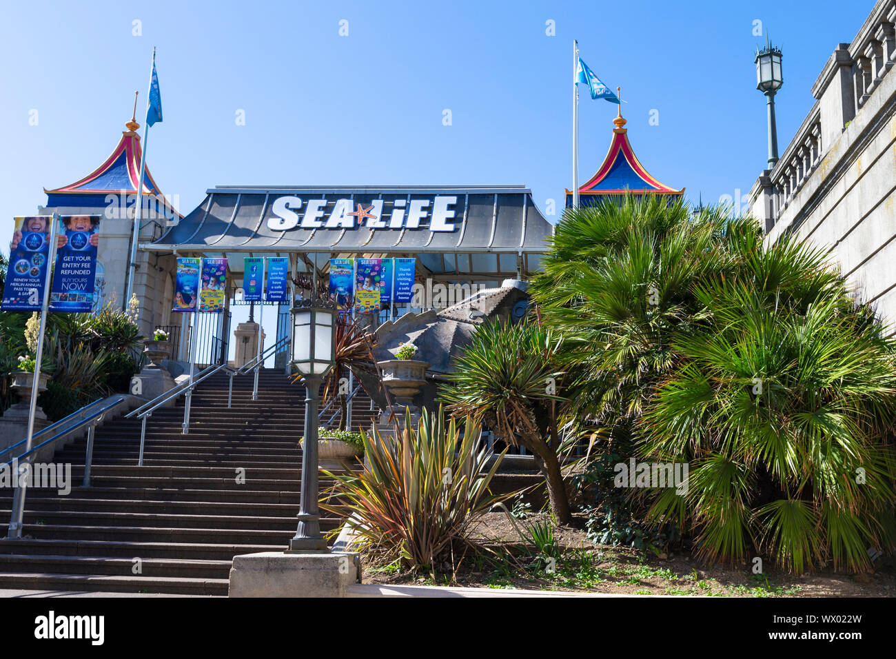Sea life Brighton centre aquarium, east sussex, uk Stock Photo - Alamy