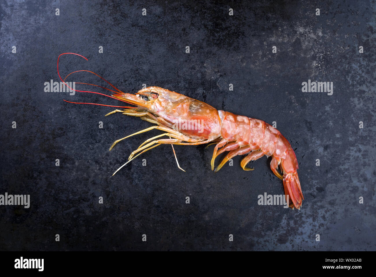 Raw black tiger prawn as top view on a black board Stock Photo - Alamy