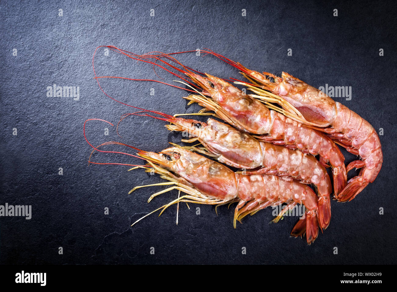 Tiger textur hi-res stock photography and images - Alamy
