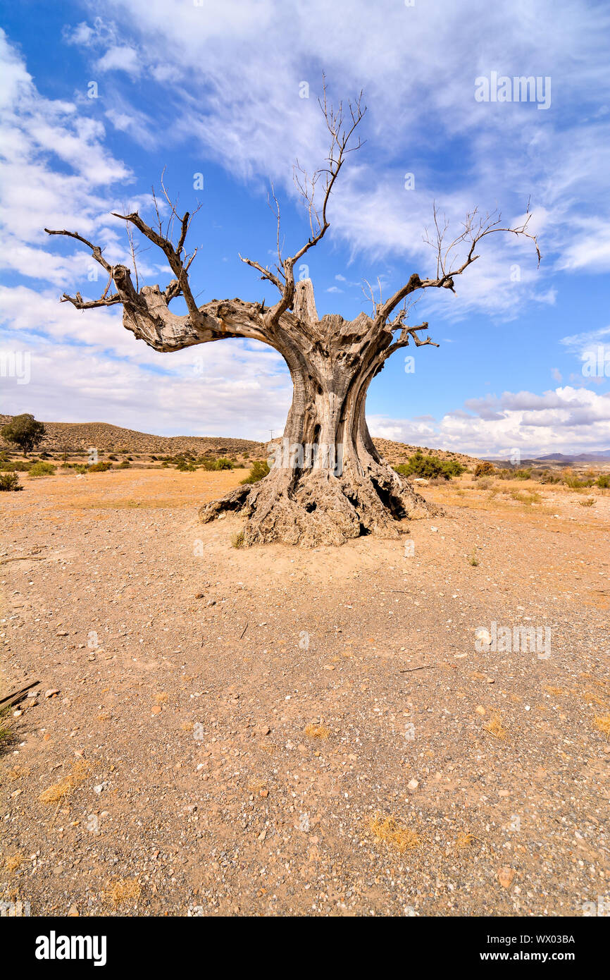 Dry Desert Landscape Stock Photo - Alamy