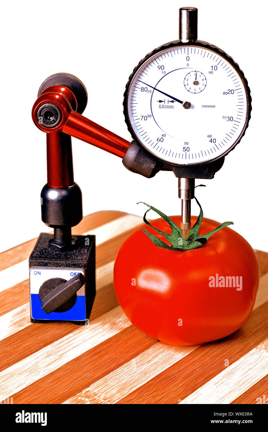 sizing tomato with a dial gauge micrometer Stock Photo - Alamy
