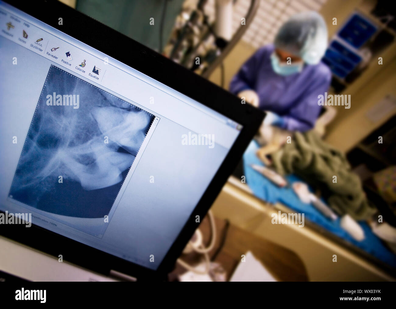 Computer screen and veterinary surgery at an animal clinic Stock Photo ...