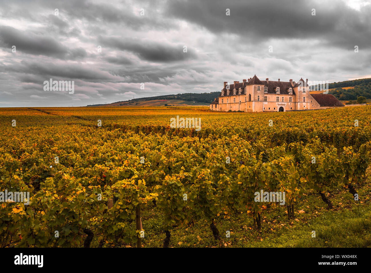 Chateau pommard hi-res stock photography and images - Alamy