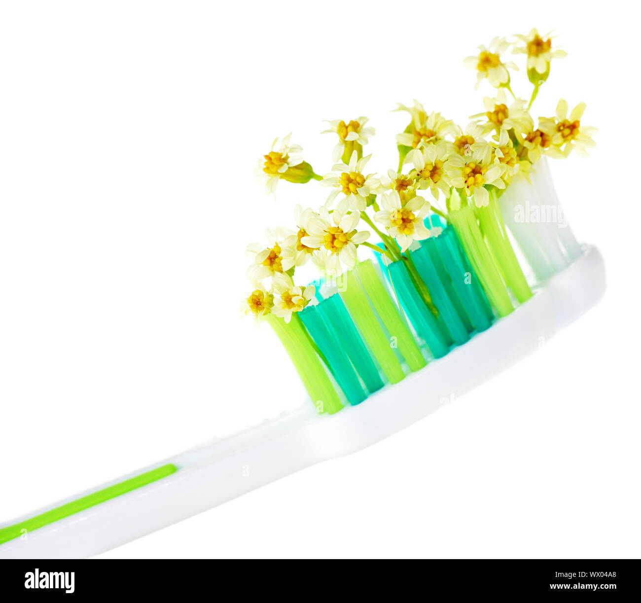Toothbrush with flowers isolated on white background, conceptual image ...