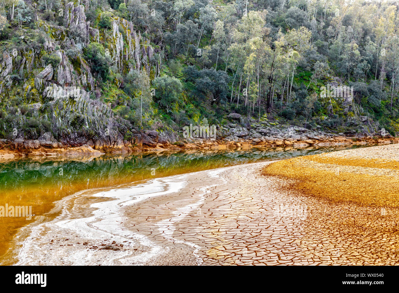 Beautiful landscape with colorful river, trees and cracked earth. River ...
