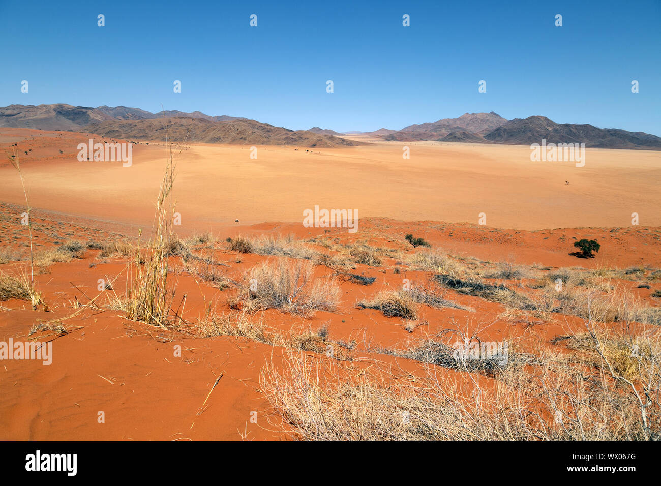 NamibRand Nature Reserve Stock Photo - Alamy