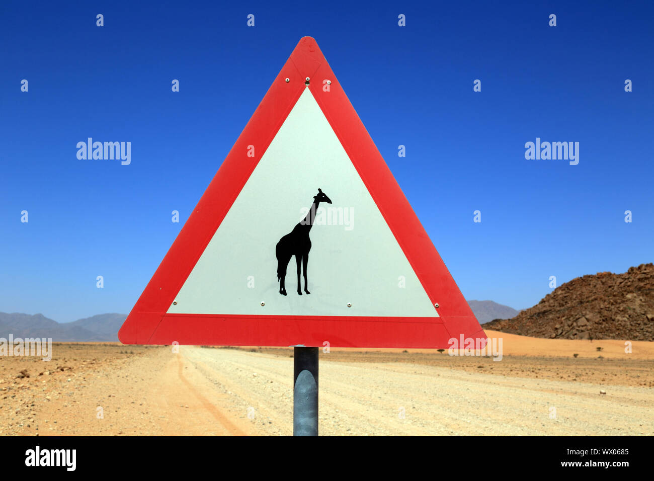 Giraffen kreuzen hi-res stock photography and images - Alamy