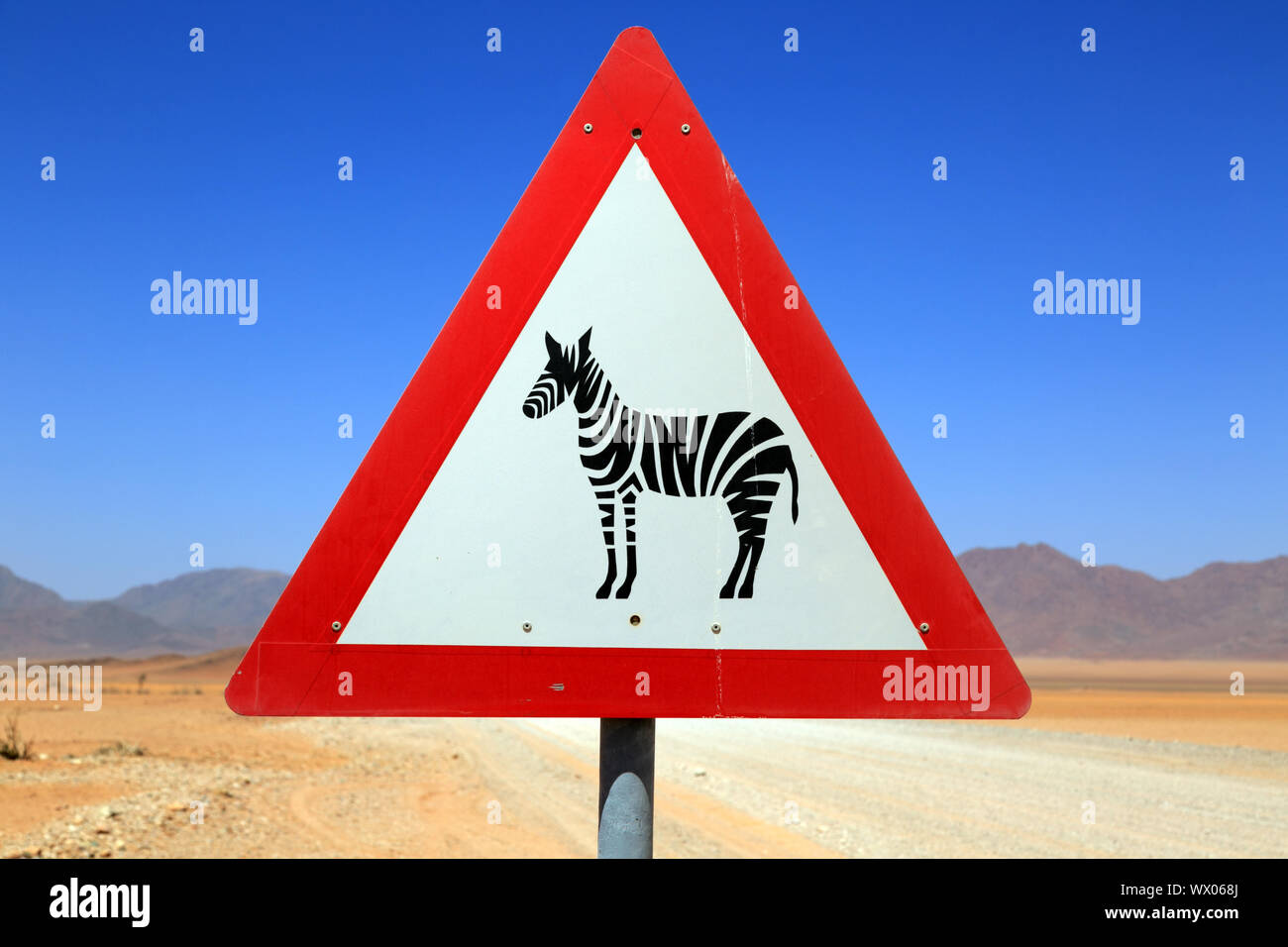 Zebra kreuzen hi-res stock photography and images - Alamy