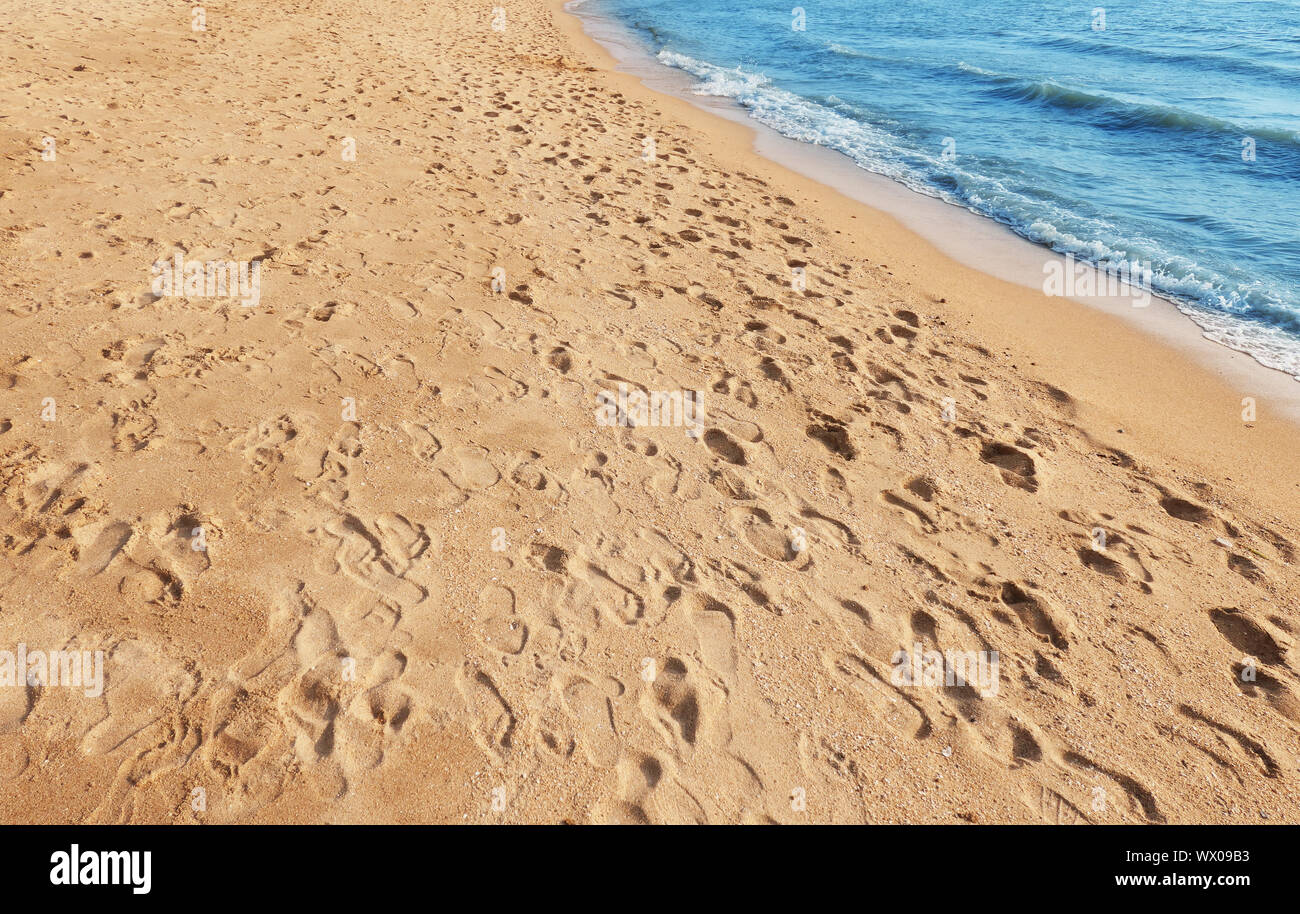 Tropical sand beach Stock Photo - Alamy