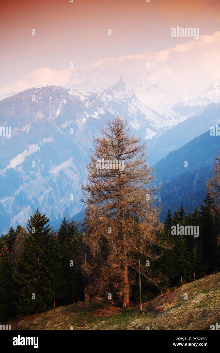 spring alps mountains scene background Stock Photo - Alamy