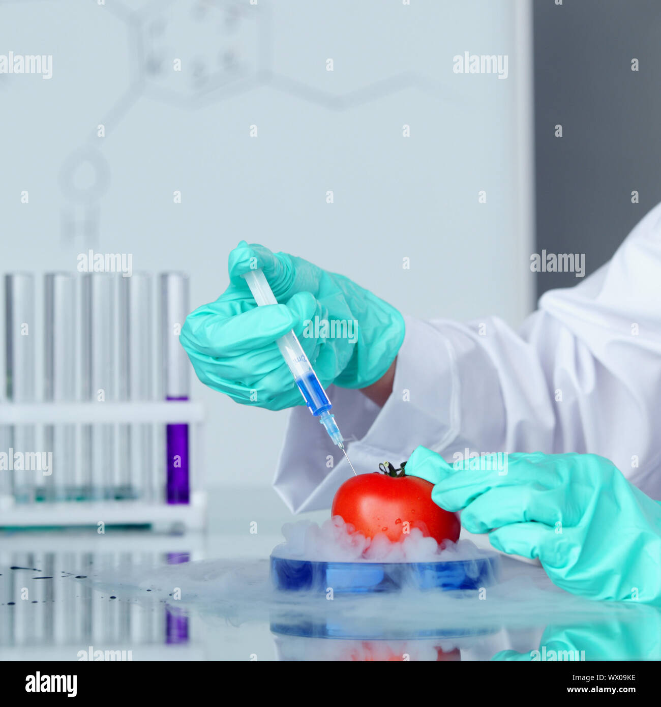 tomato DNA change microbiology experiment Stock Photo - Alamy
