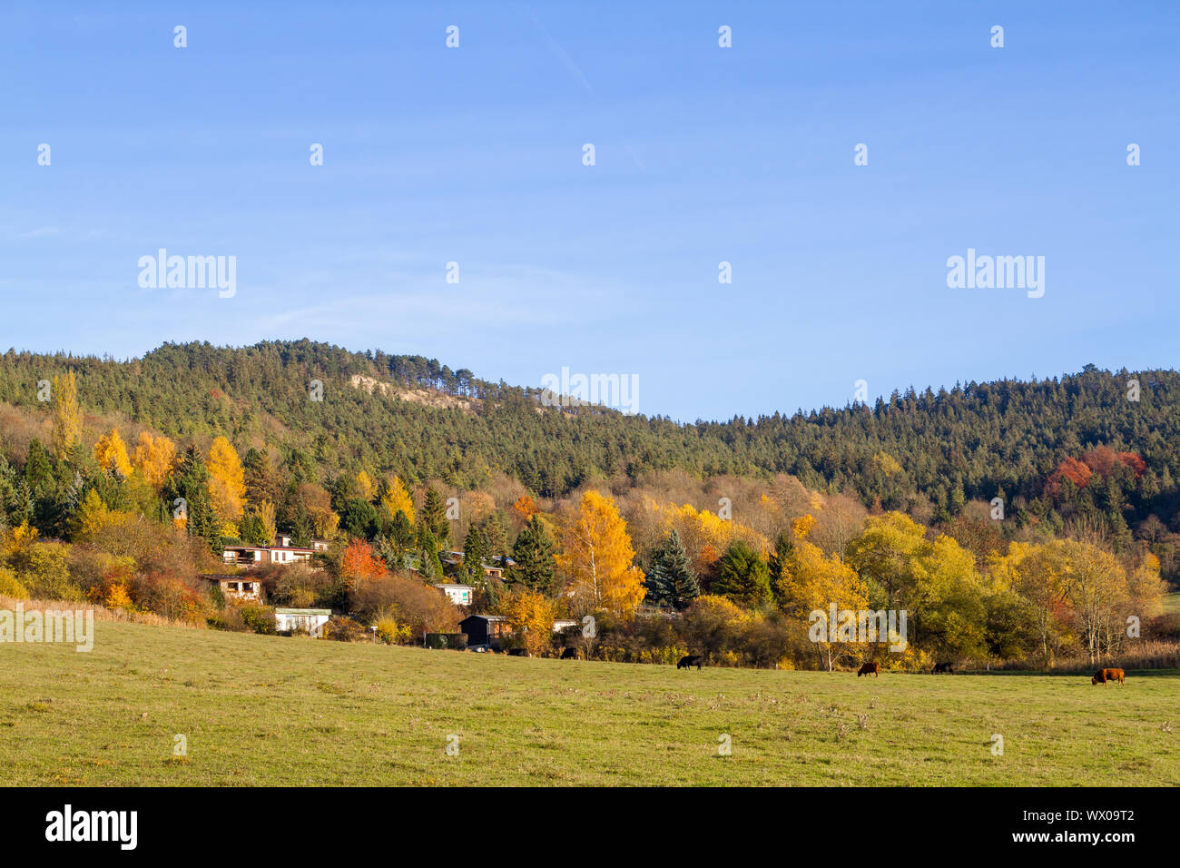 Schones hi-res stock photography and images - Alamy