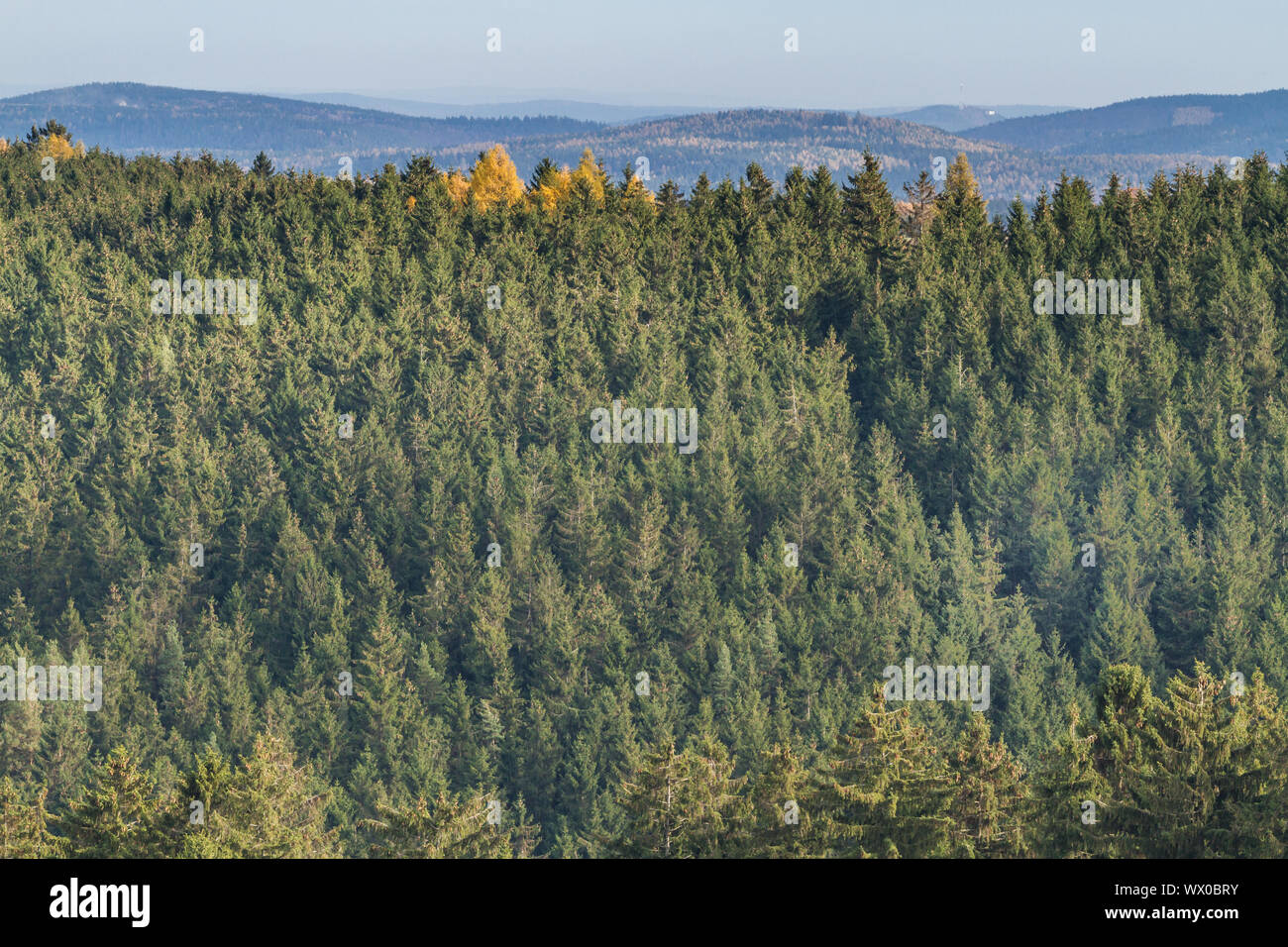 Blick auf den thuringer wald hi-res stock photography and images - Alamy
