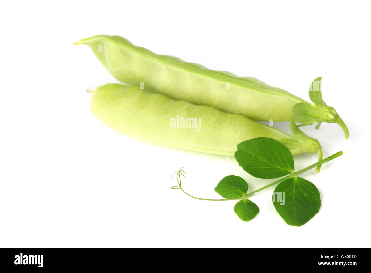 Pea and leaf isolated on white Stock Photo - Alamy