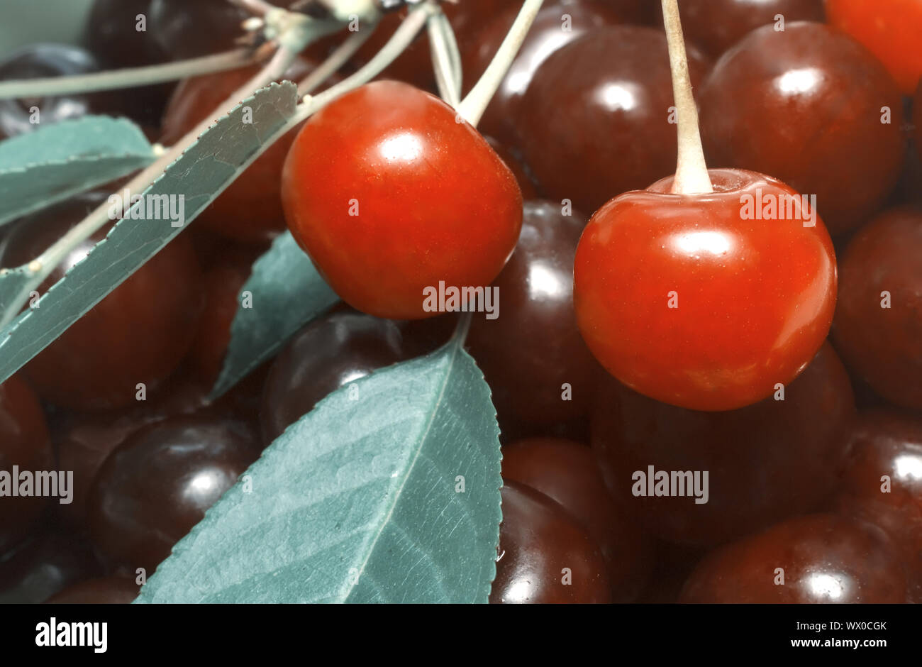 Large ripe cherry fruit Stock Photo - Alamy
