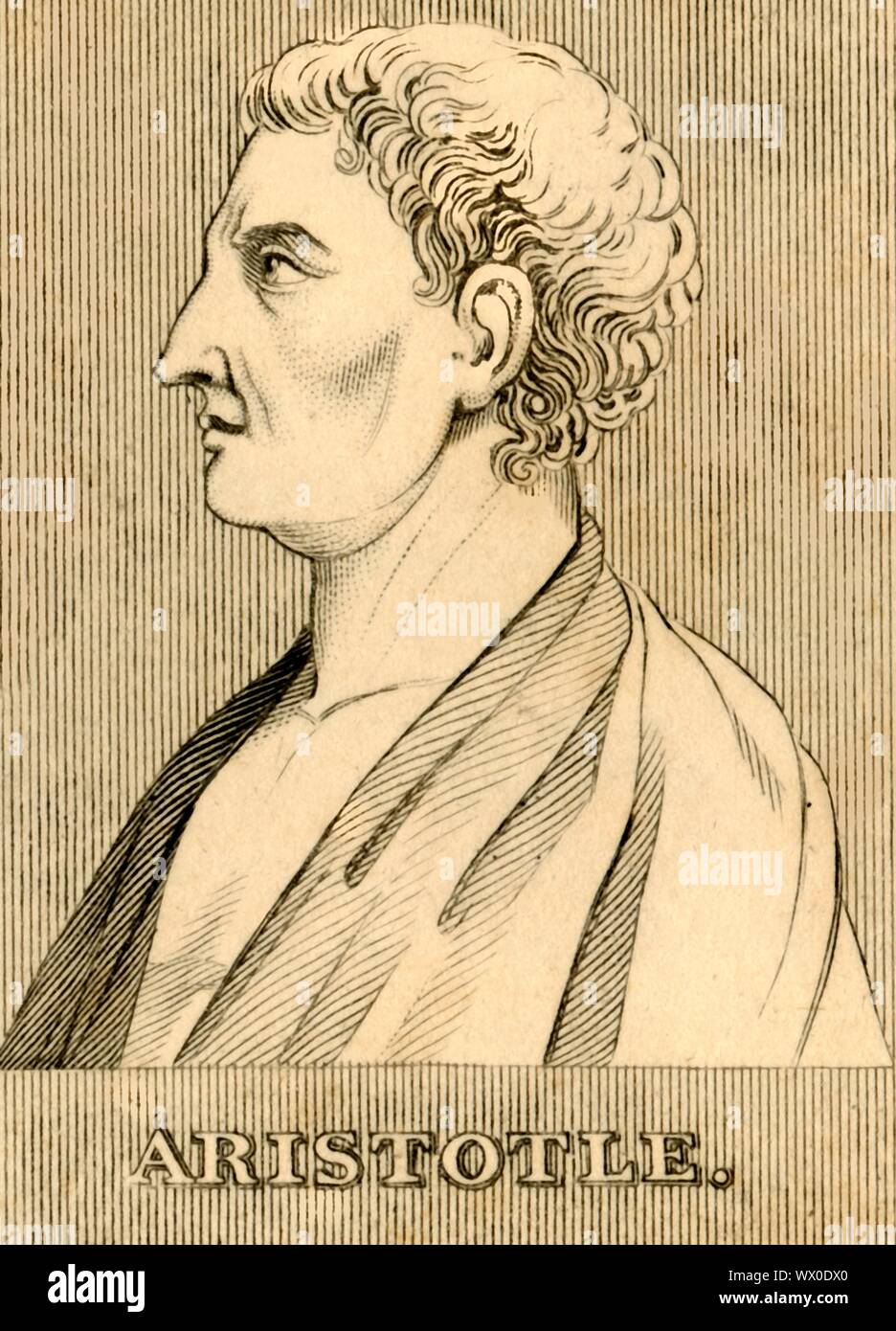 'Aristotle', (384-322 BC), 1830. Aristotle (384-322 BC) Greek ...