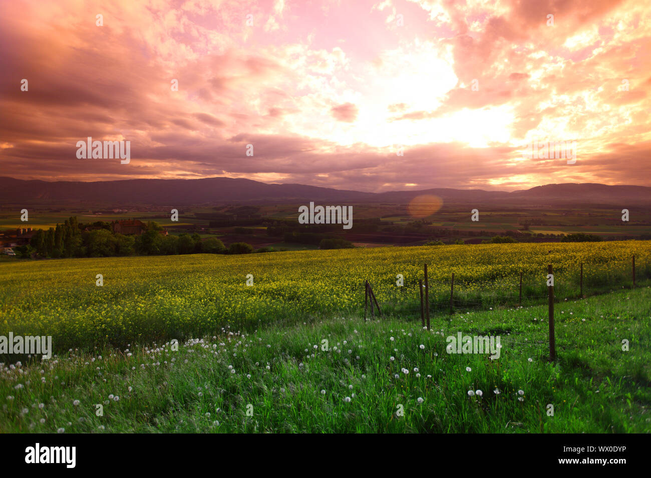 Green meadow under sunset sky with clouds Stock Photo - Alamy