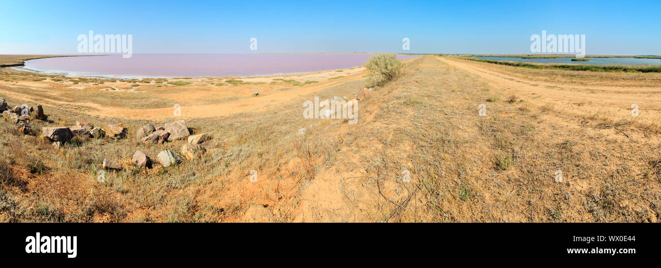 Pink salty Syvash Lake and blue fresh lake by the dam, Ukraine Stock ...