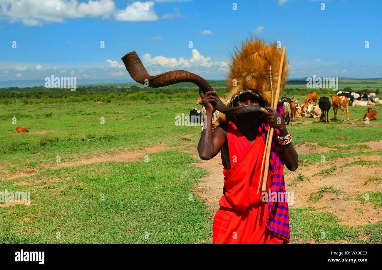 Masai warrior playing traditional horn Stock Photo - Alamy
