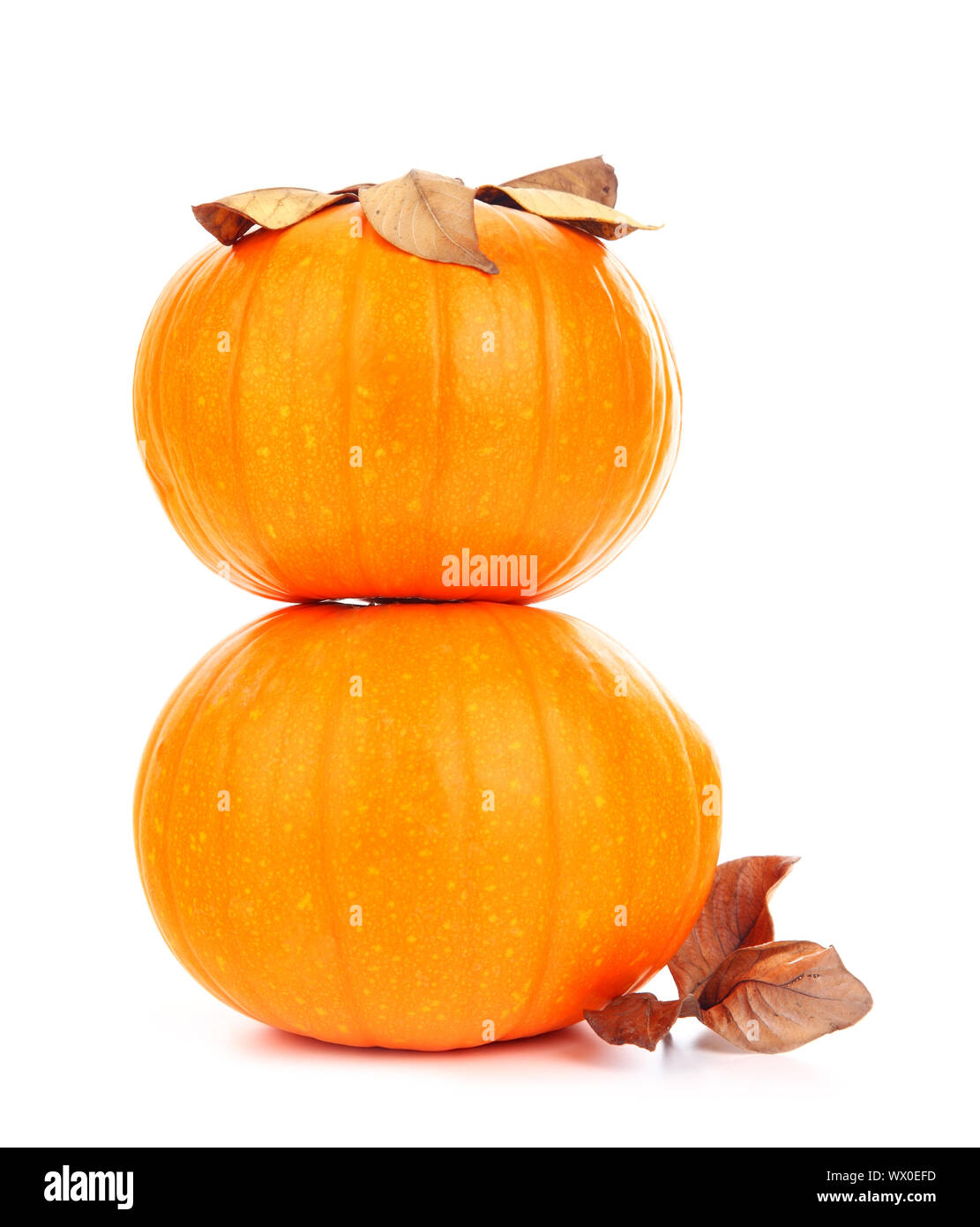 Autumnal background with pumpkins Cut Out Stock Images & Pictures - Alamy