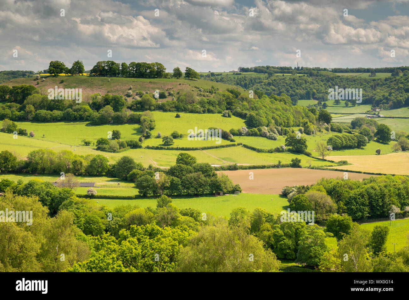 Countryside in spring hi-res stock photography and images - Alamy