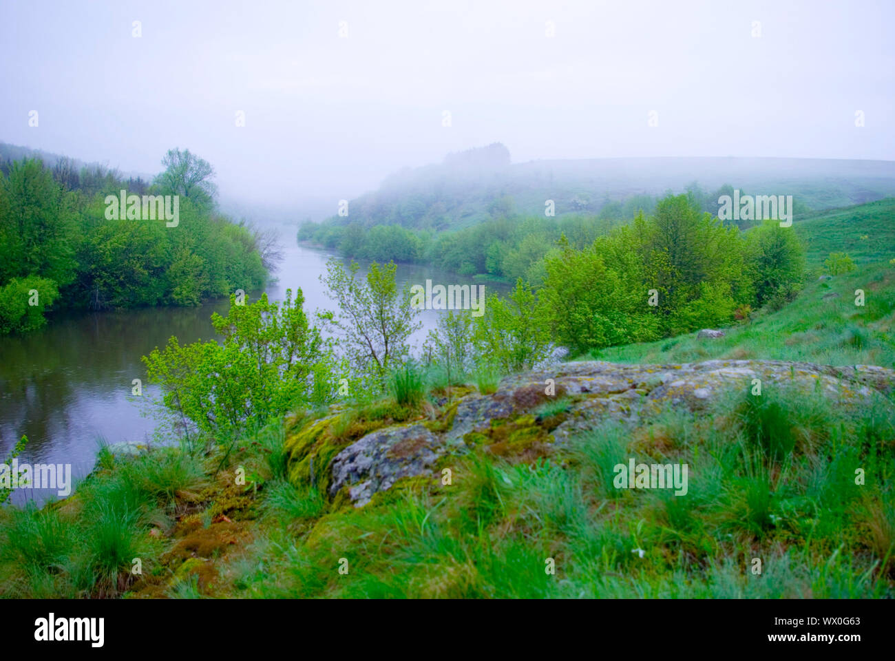 river among the wonderful forest Stock Photo - Alamy